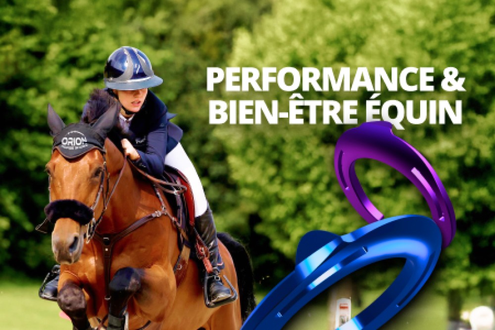 Orion Horse Shoes - Le ferrage sur mesure au service du bien-être des ...
